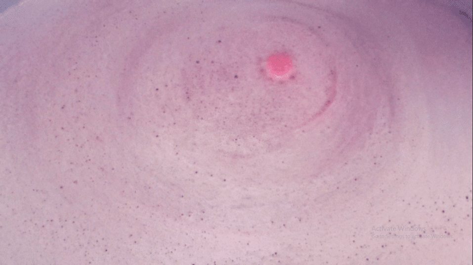 Bubble Gum Bath Fizzie recipe [foaming] - DIY Beauty Base